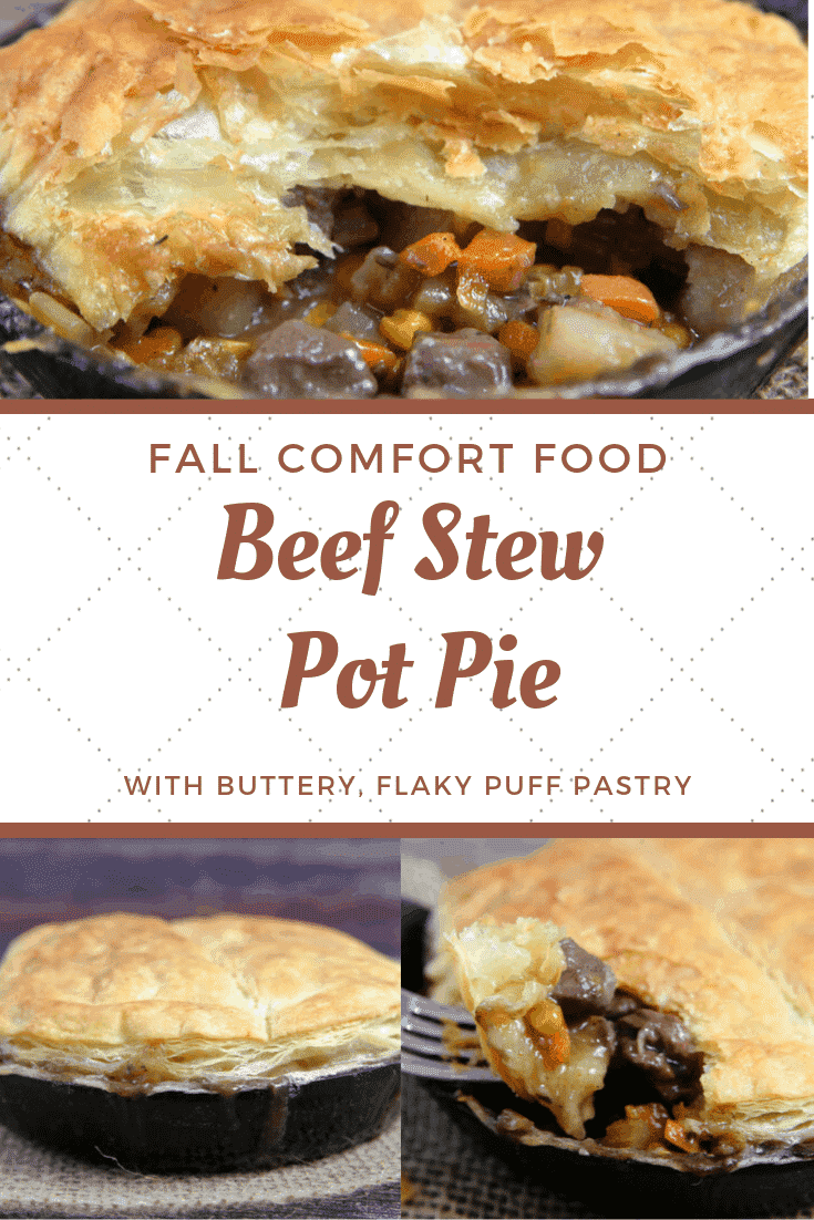 Beef Stew Pot Pie | System of a Brown